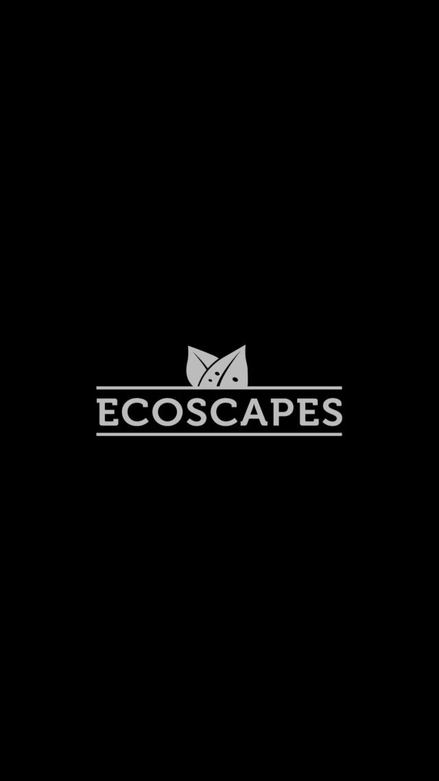 Ecoscapes – Outdoor living spaces that bring life to your home